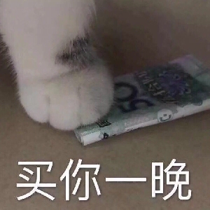 小泽的自定义 