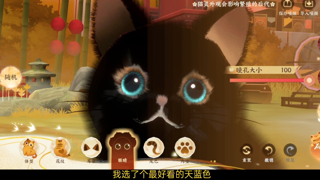 捏脸游戏应该很多人玩过吧,但是你见过捏猫的游戏吗?