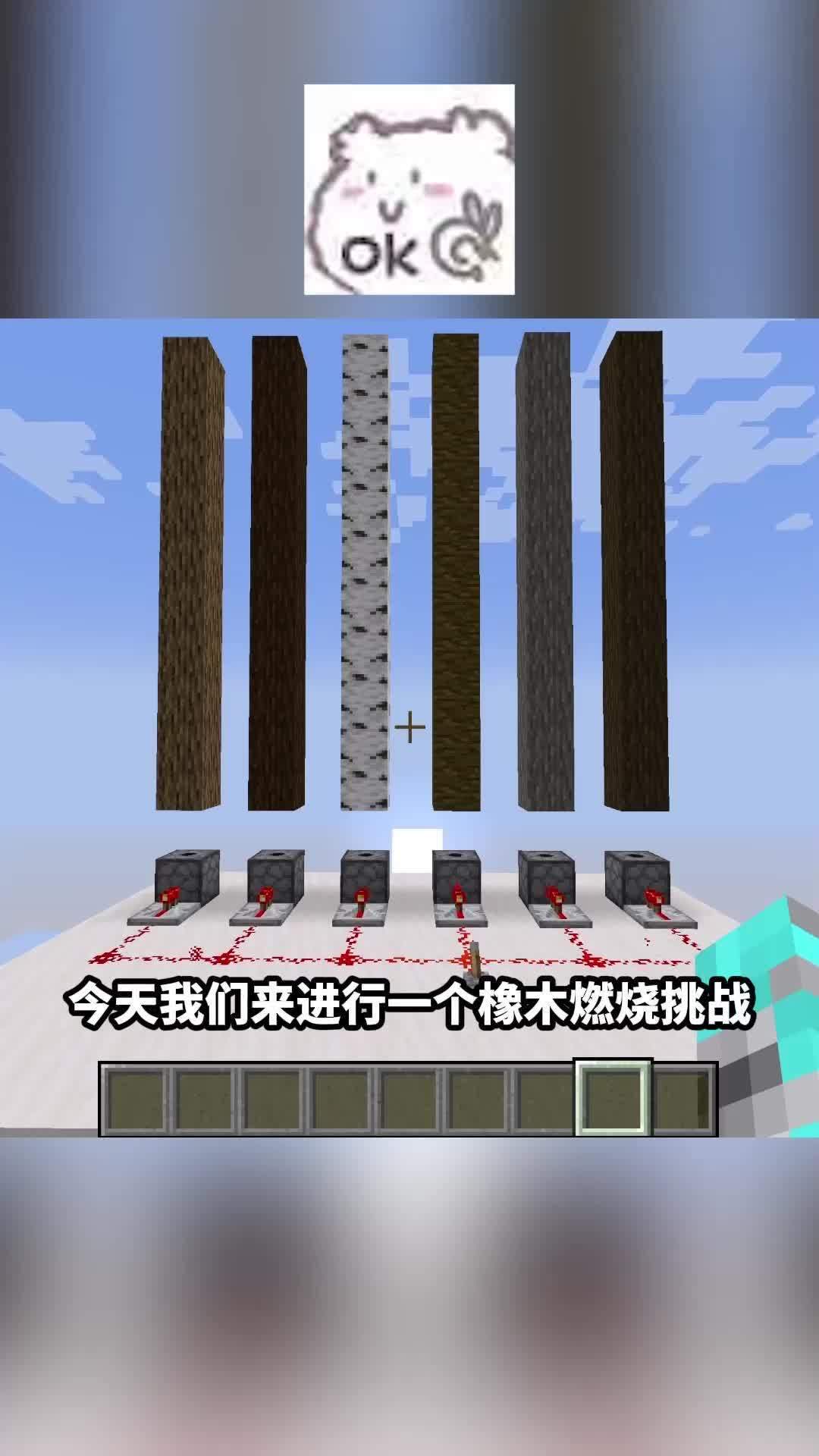 我的世界原木燃烧挑战我的世界