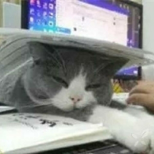 葉轍 