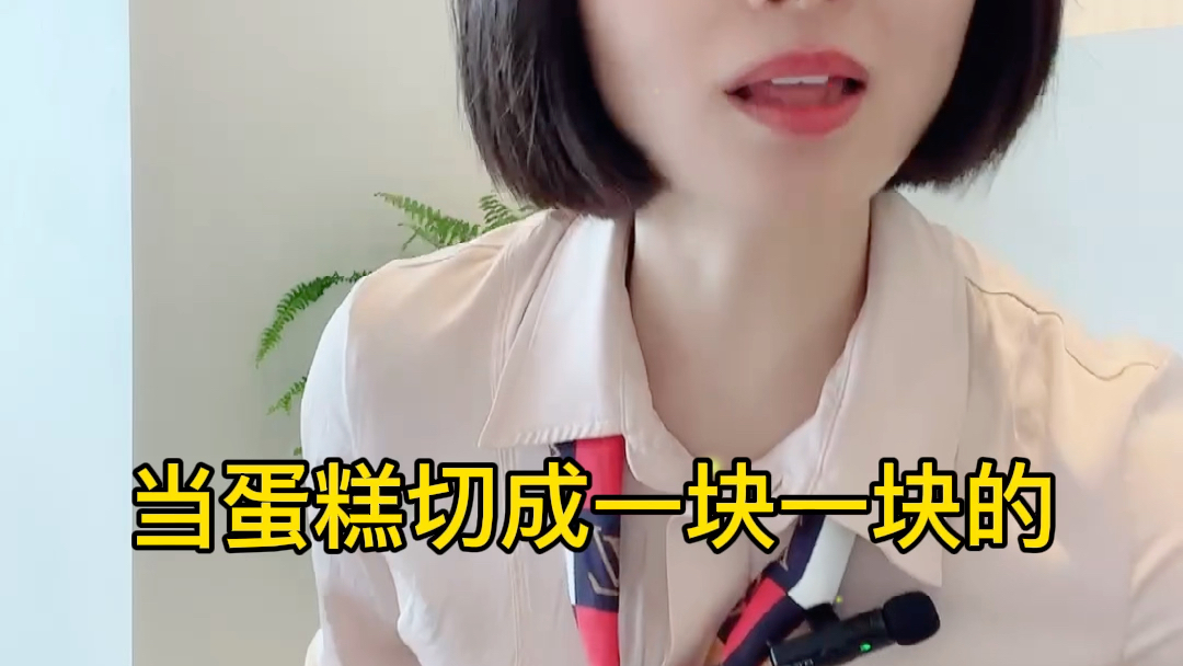 cake是可数名词吗?