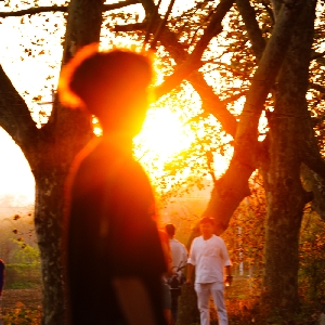 带着康康康康世界 