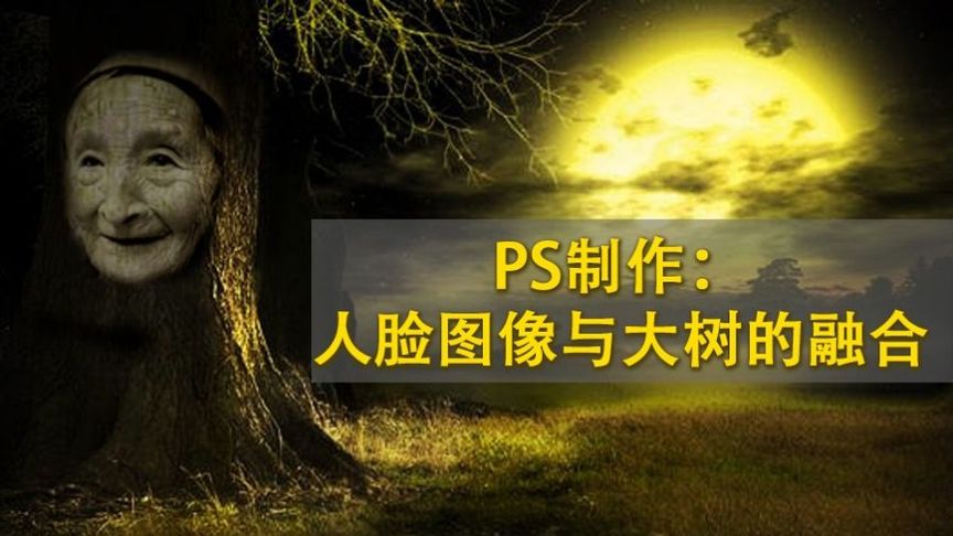 PS制作人脸图像与大树融合,如何使用图层蒙版和色阶|小蜜薯设计