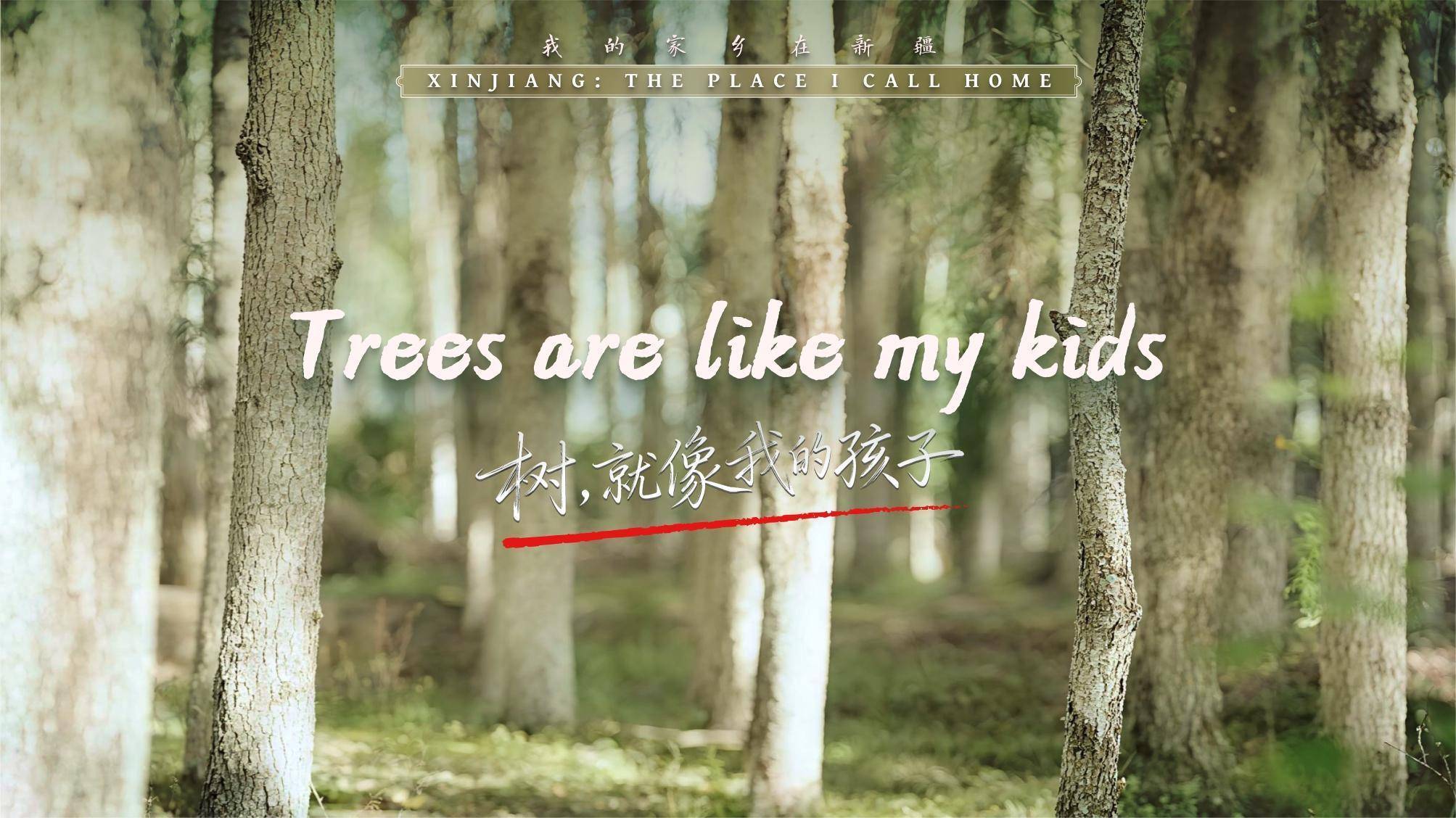 我的家乡在新疆 | 树,就像我的孩子