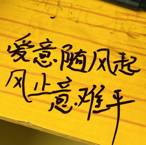 物理看花张老师 