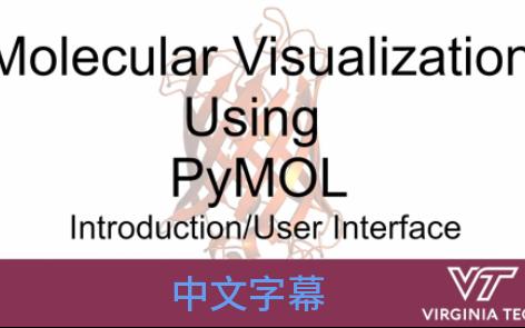 Pymol软件和用户界面介绍-如何使用 PyMOL 进行分子可视化