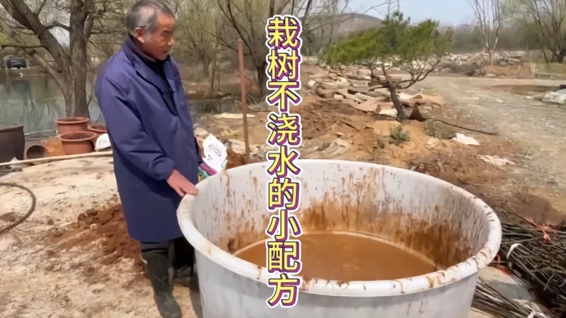 倡导修复土壤,绿色生物防控,果树栽培技术