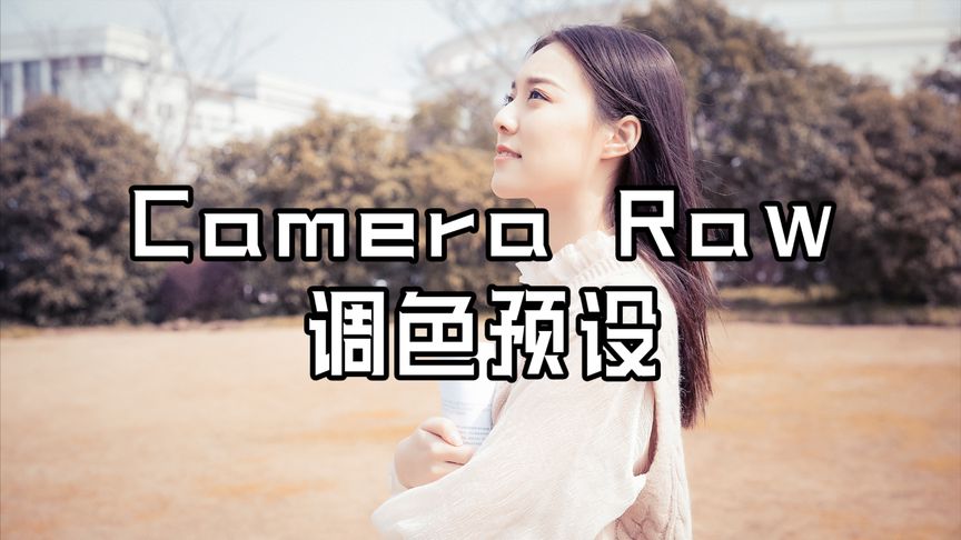 PS滤镜Camera Raw后期调色图像转片预设
