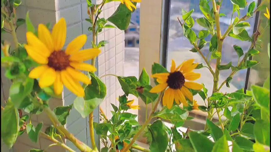 生活,时刻充满着未知性