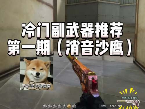 穿越火线最好用的副武器之一拿在手上队友直接惊呼是不是开了