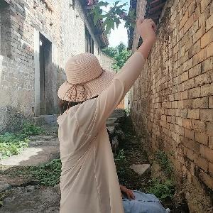 小虞老师成长日记 