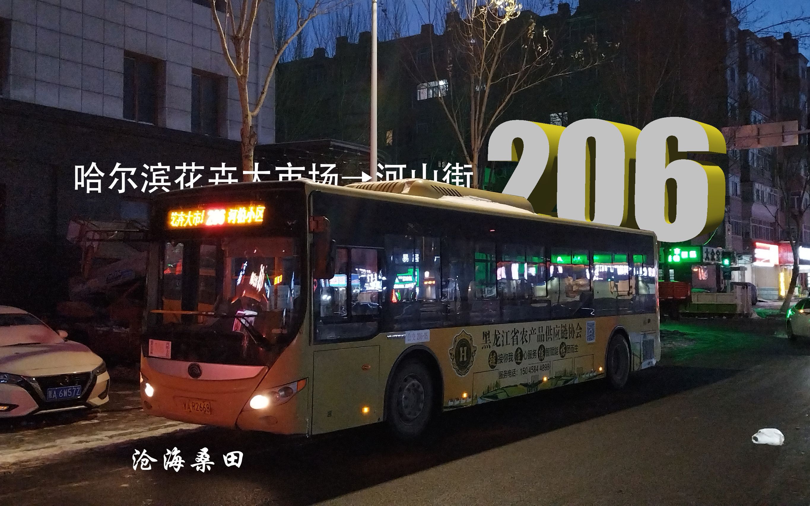 【踏雪寻新】哈尔滨公交206路(哈尔滨花卉大市场→河山街)半夜景POV