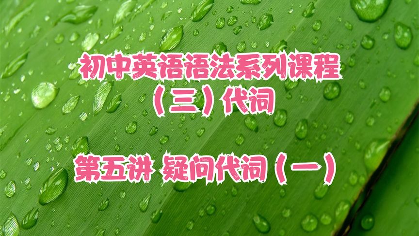 疑问代词who和whom的用法