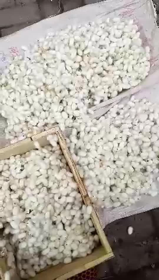 现场蚕茧抽丝制作蚕丝被的