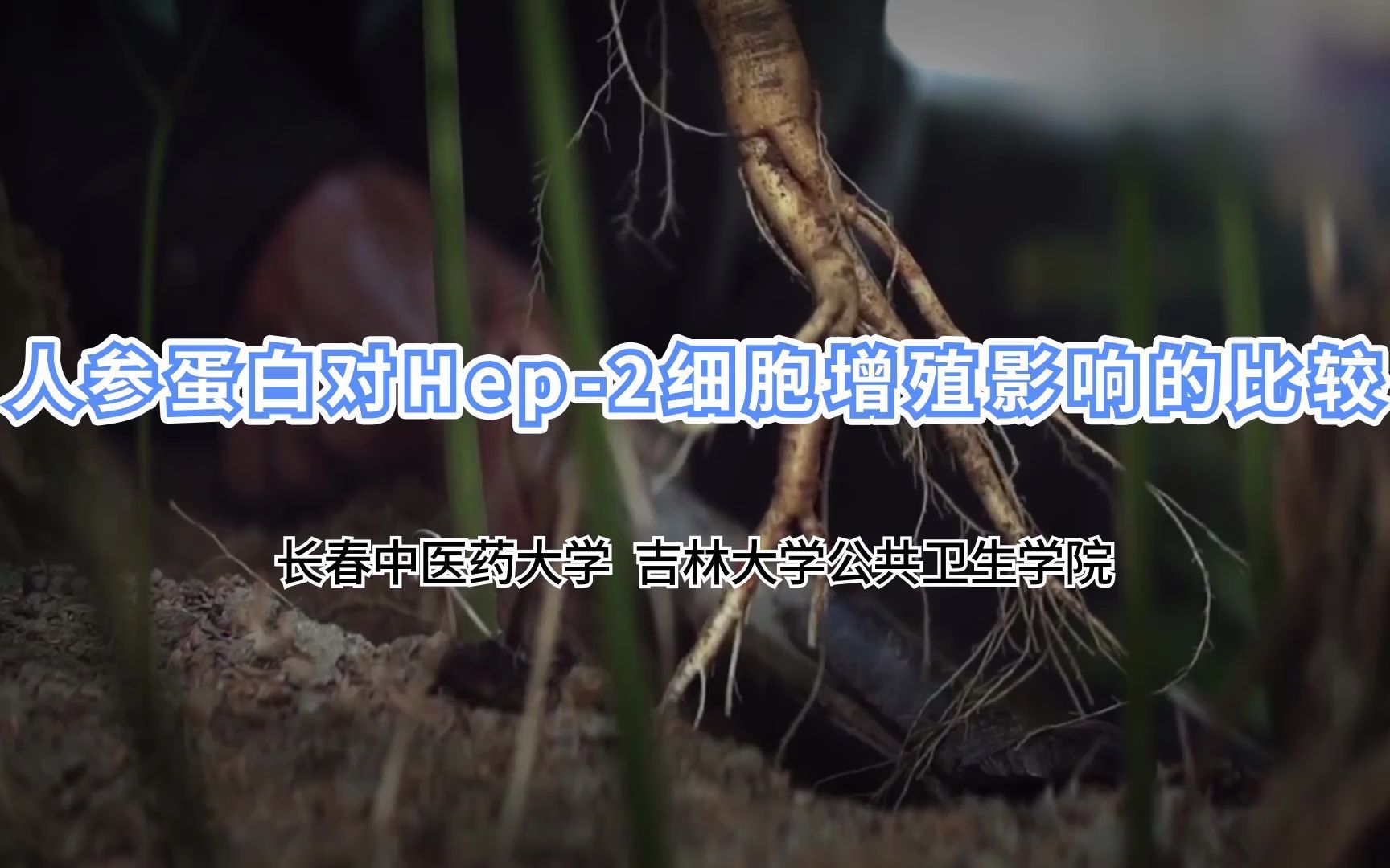 人参肽科研实验!有论文有论证!有数据有真相!