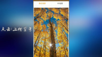 如何使用链脉AI名片,制作微名片