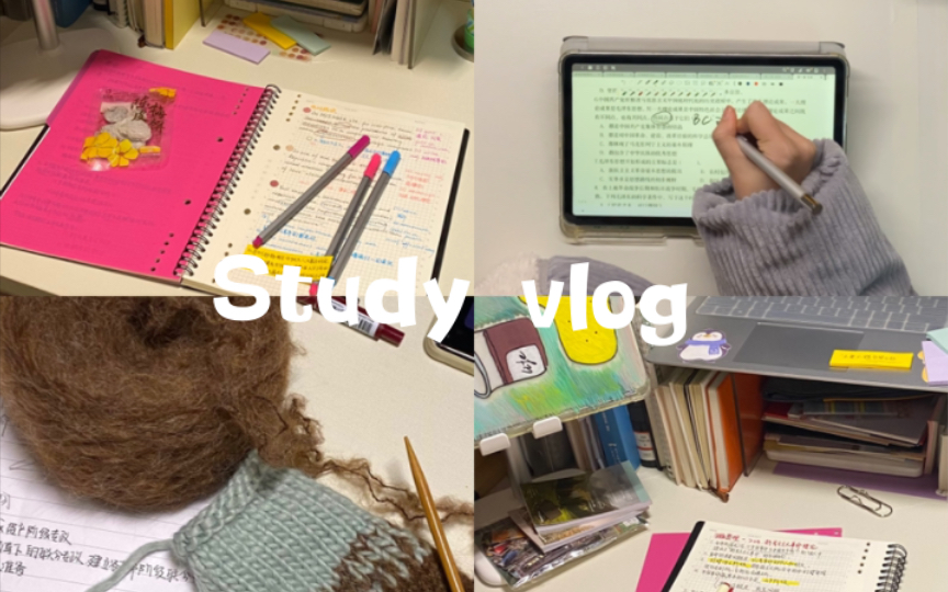 Study Vlog ߧ�❄️✍ߏ�期末周,狂学才是本质