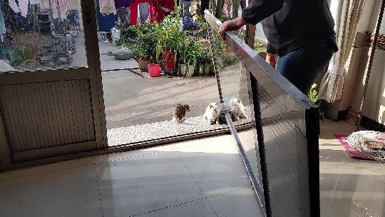 吴大哥家的推拉门坏了 自己动手维修