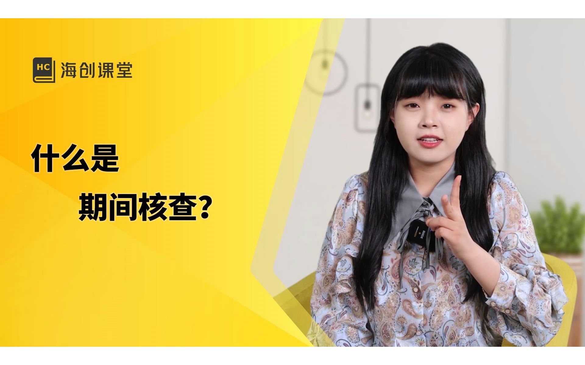 什么是期间核查?
