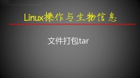 28-文件打包tar