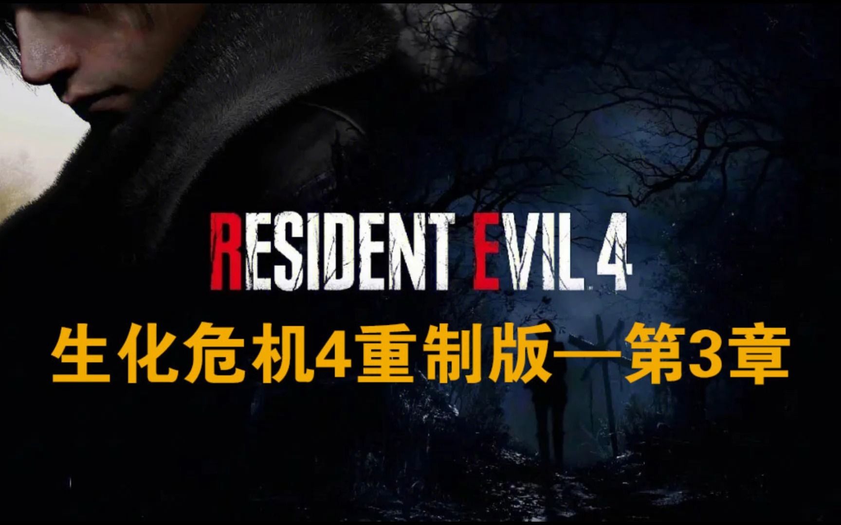 生4重制版第3章_生化危机_演示