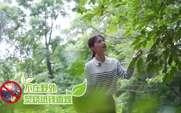 W70-揭阳-【揭阳市林业局】-森林防火宣传视频