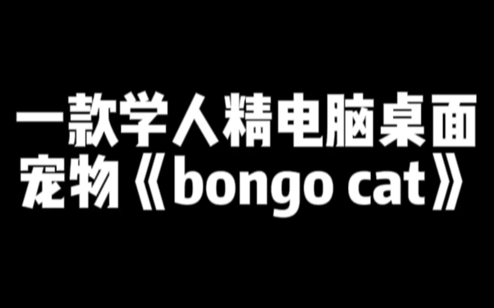 一款学人精电脑桌面宠物《bongo cat》
