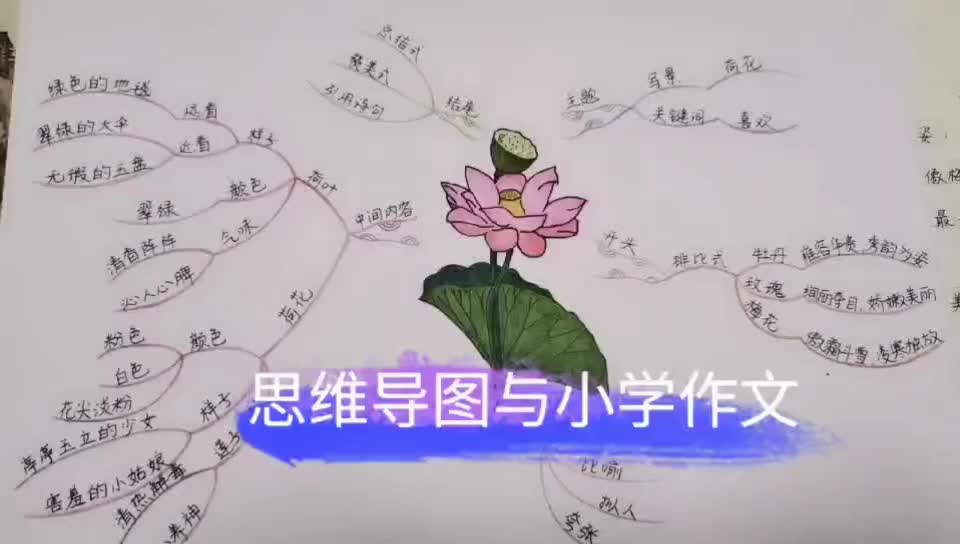 ...图指导如何写好小学作文?#家长 #手绘思维导图 #小学作文写作方法...