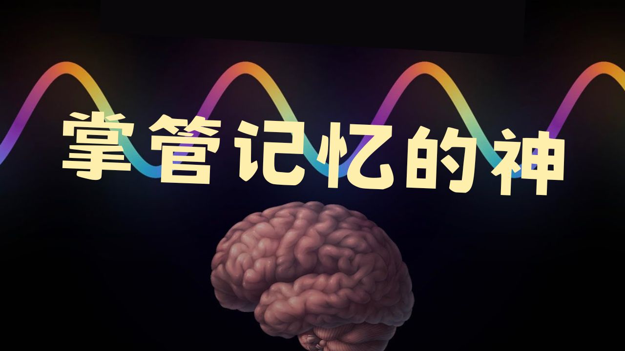 是什么,掌管着你的记忆时钟?