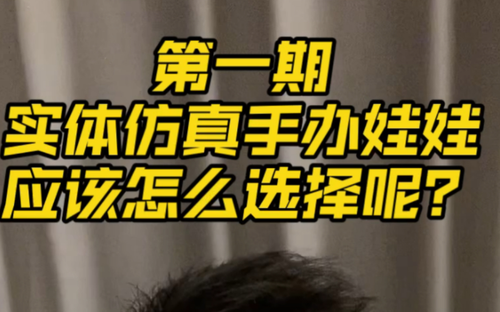 第一期 仆舍小刘教大家实体仿真手办娃娃应该怎么选?
