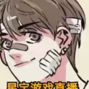 星宇游戏主播 