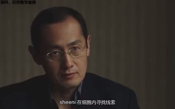 心脏的干细胞移植2