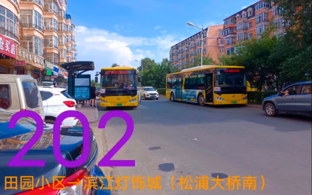 【飙 车 之 王】【哈尔滨公交#41】哈尔滨公交202路POV(田园小区→...