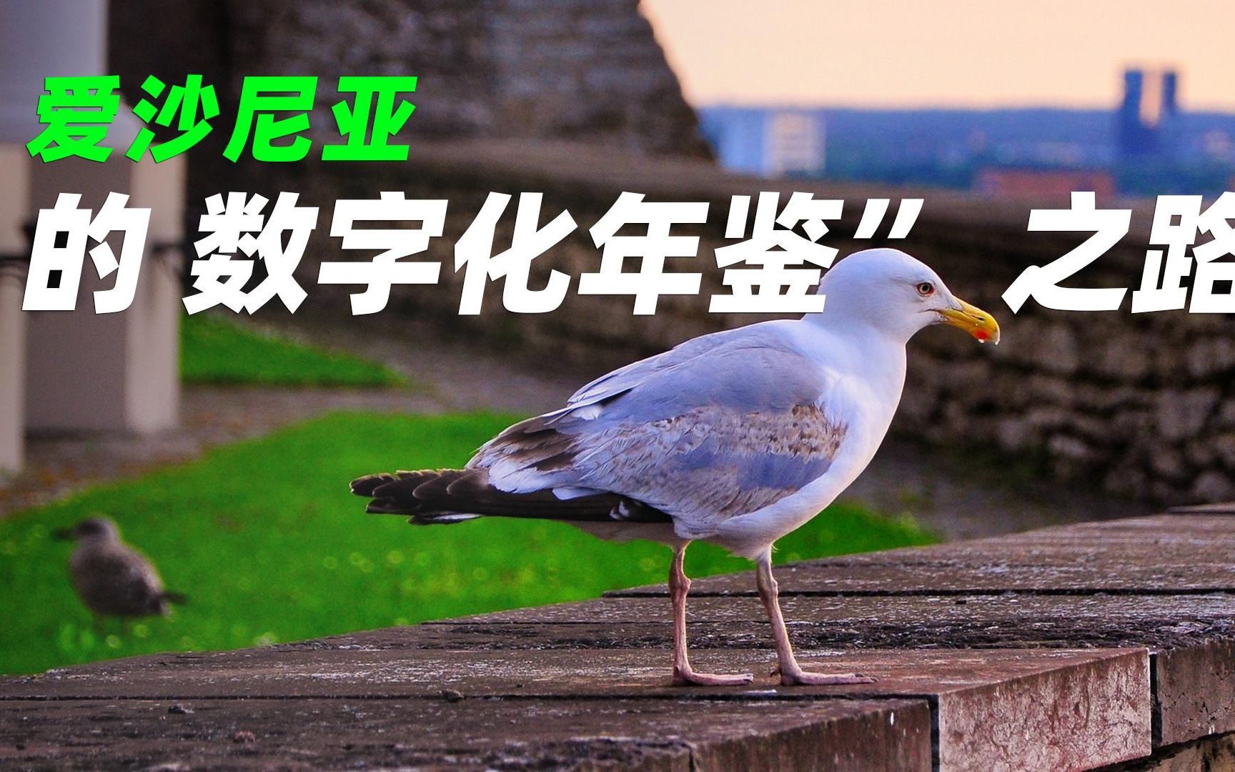 数字化全球典范,爱沙尼亚的“数字化年鉴”之路