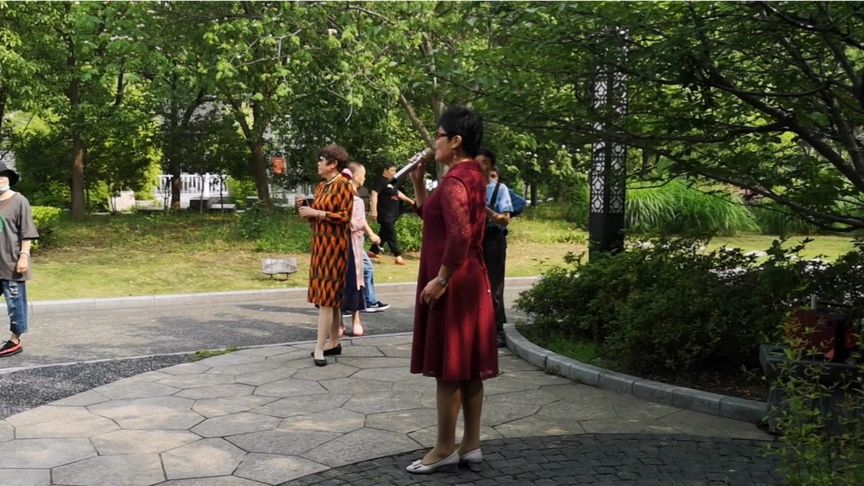 请欣赏经典歌曲《让我们荡起双桨》