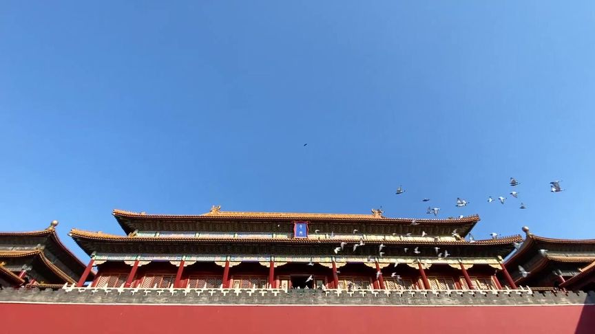 2020年.故宫 #传统文化