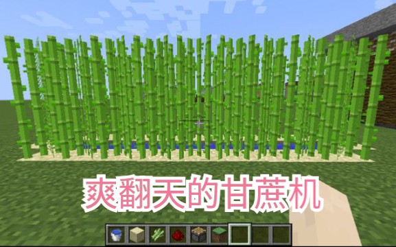《mc我的世界》自动刷骨粉机or自动刷甘蔗机,你的粮食吃不完