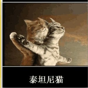 后9来 