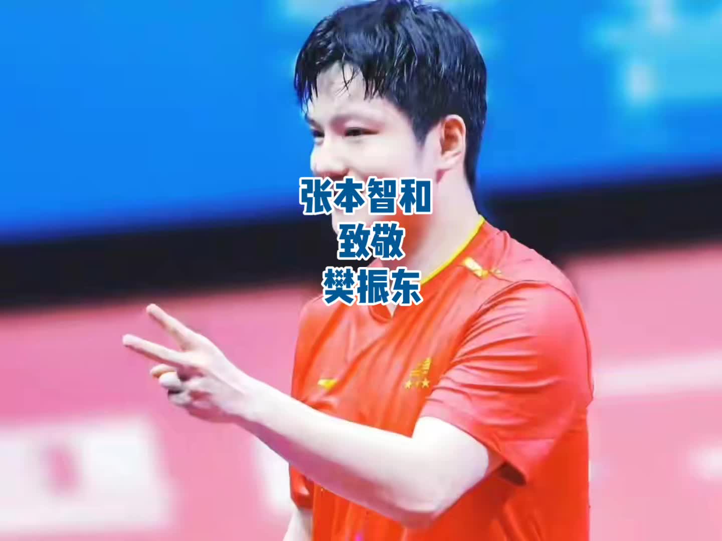 张本智和致敬樊振东 #张本智和模仿樊振东庆祝动作 #张本智和 #樊振...