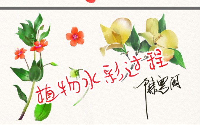 板绘过程:水彩植物学习记录,超简单过程,一看就会确定不来看一下?