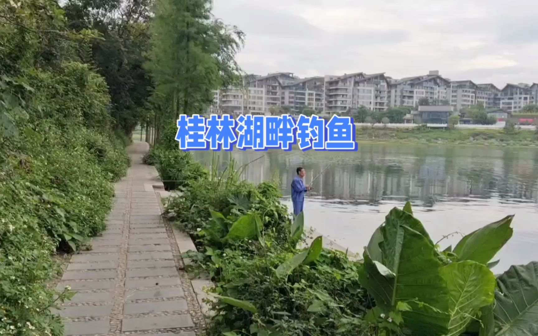 旅游桂林湖畔钓鱼,风景别致,绝佳位置就是不知道里面鱼多不多