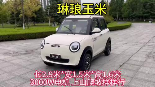 低速高端新能源电动汽车家用代步车家用代步车接送孩子首选喜提新车