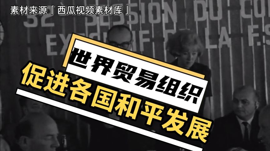 世界贸易联合会在尼科西亚举行会议,促进各国和平发展