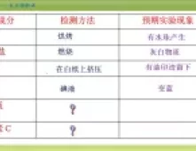 【生物大师】初中生物微课教学视频第55集:蛋白质和维生素C的检测