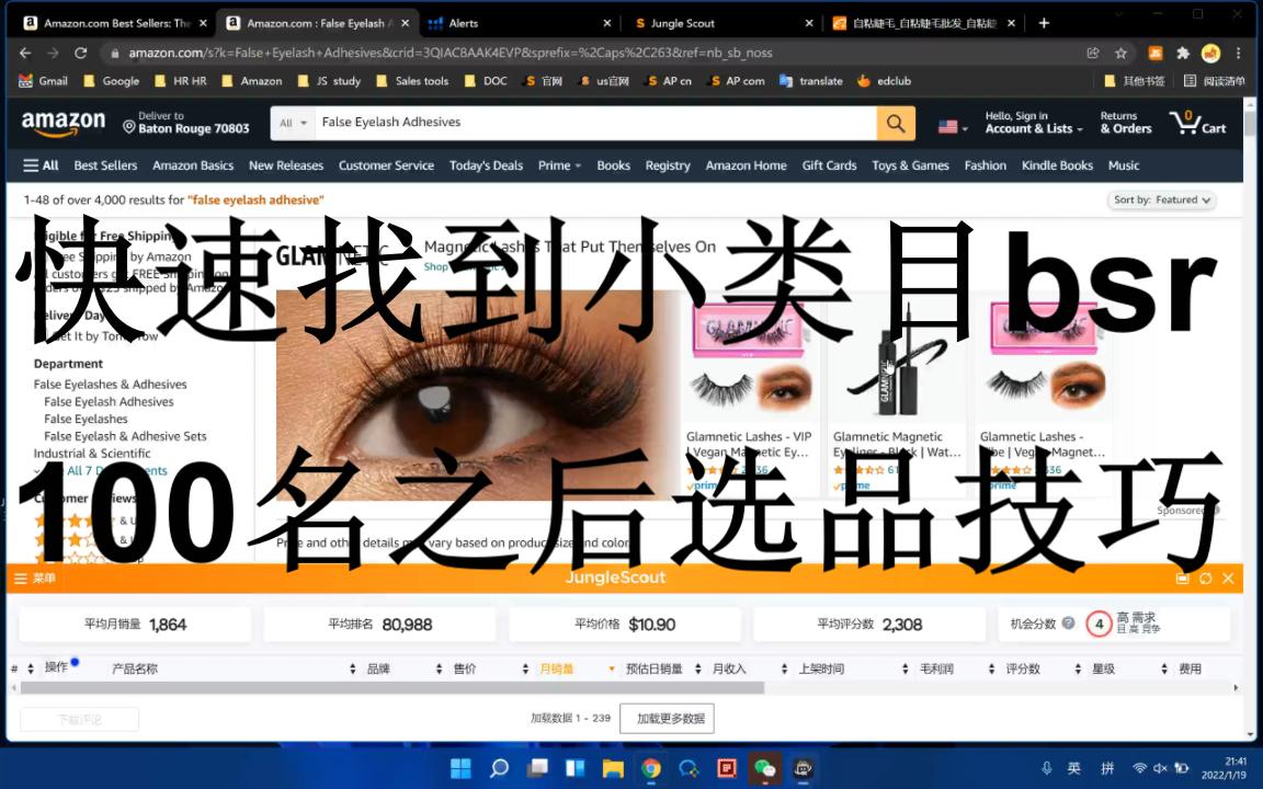 每天学习十分钟亚马逊3 亚马逊小类目bsr100名之后选品技巧