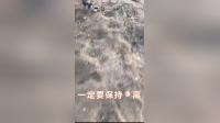 接触小动物应该注意什么?