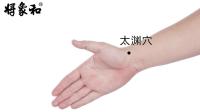 将象和中医艾灸针灸取穴: 太渊穴