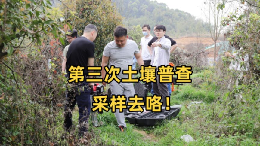 第三次全国土壤普查,采样去咯!#土壤取样 #土壤采样