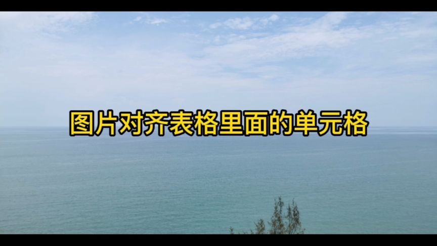 #wps技巧表格里面的图片对齐表格单元格