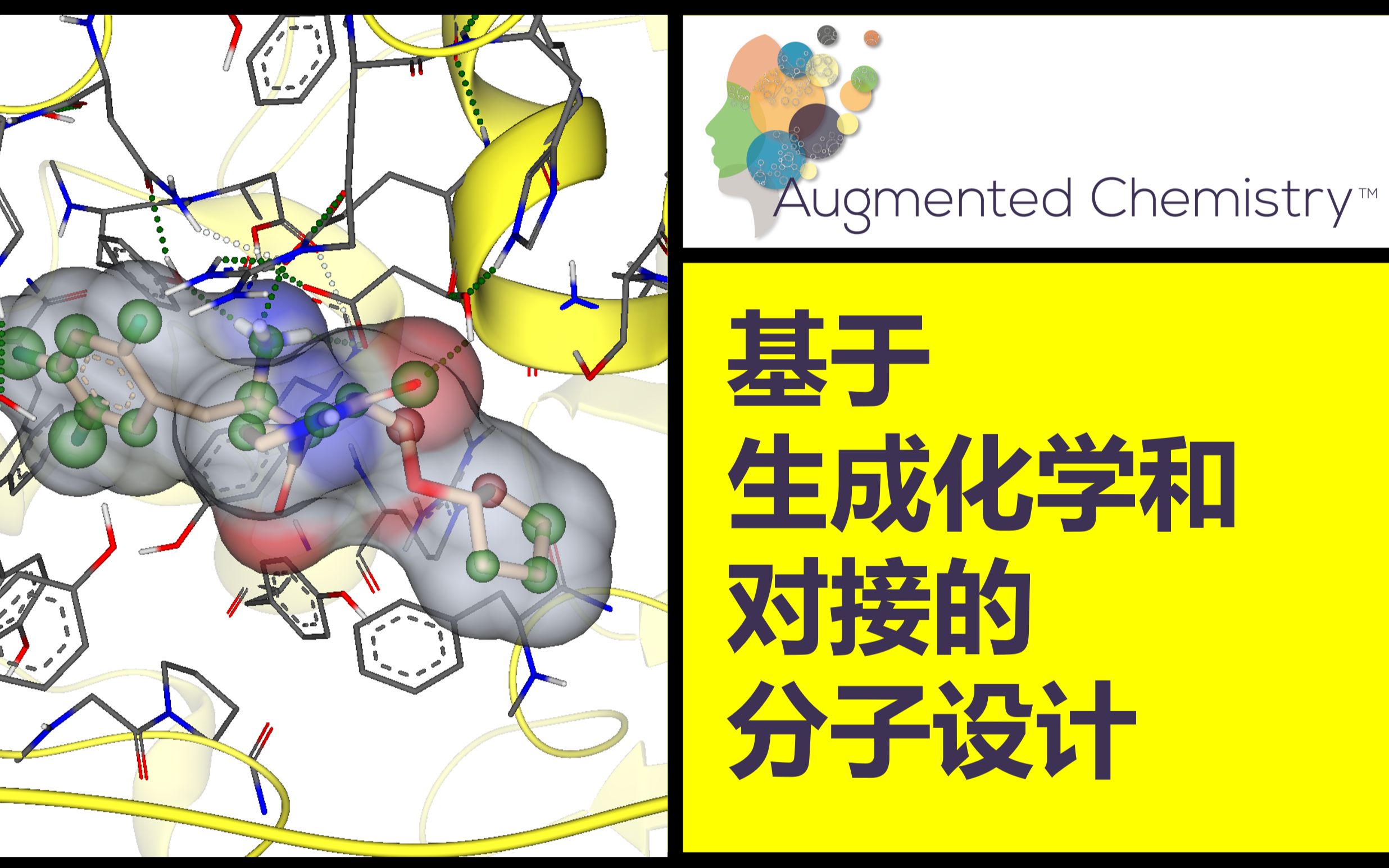 StarDrop秋季系列在线讲座(三)_ 基于生成化学和对接的分子设计